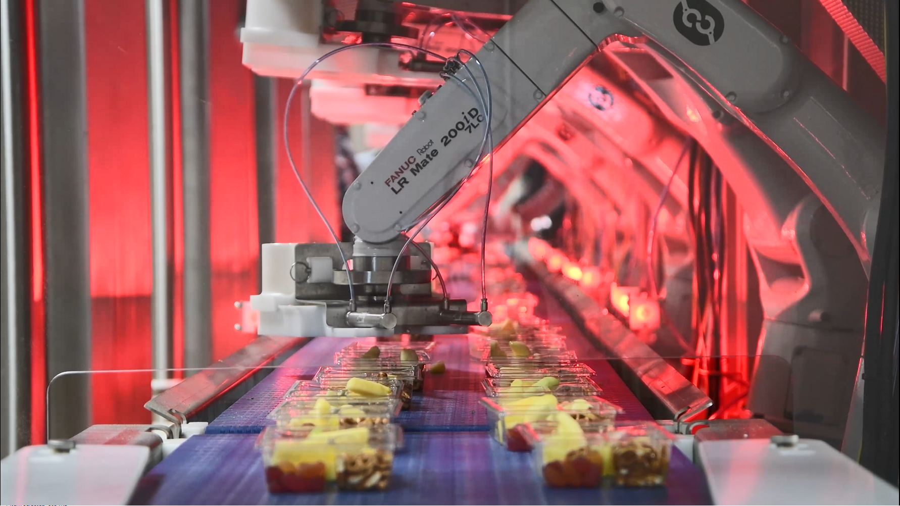 The Hidden Cost of Manual Labor » Quest Robotic Packaging News